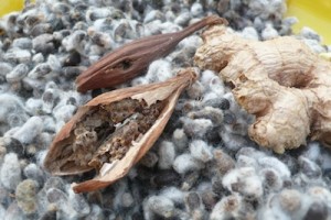 Cotton Seed Soup – Obe Koowu – Top Nigerian Food Blog